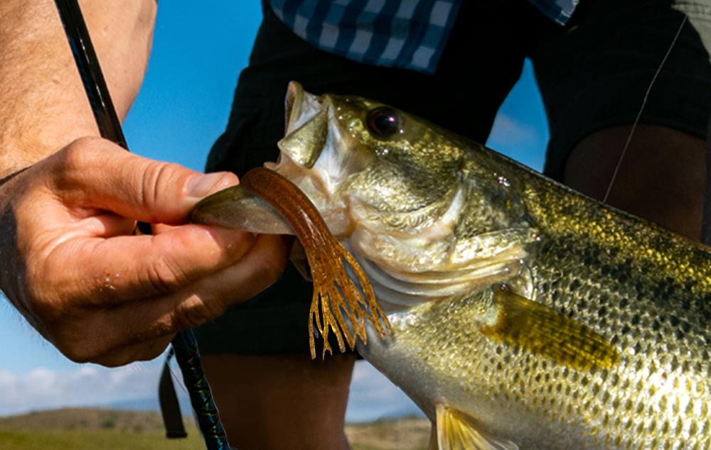 Red Angle – Fishing Products