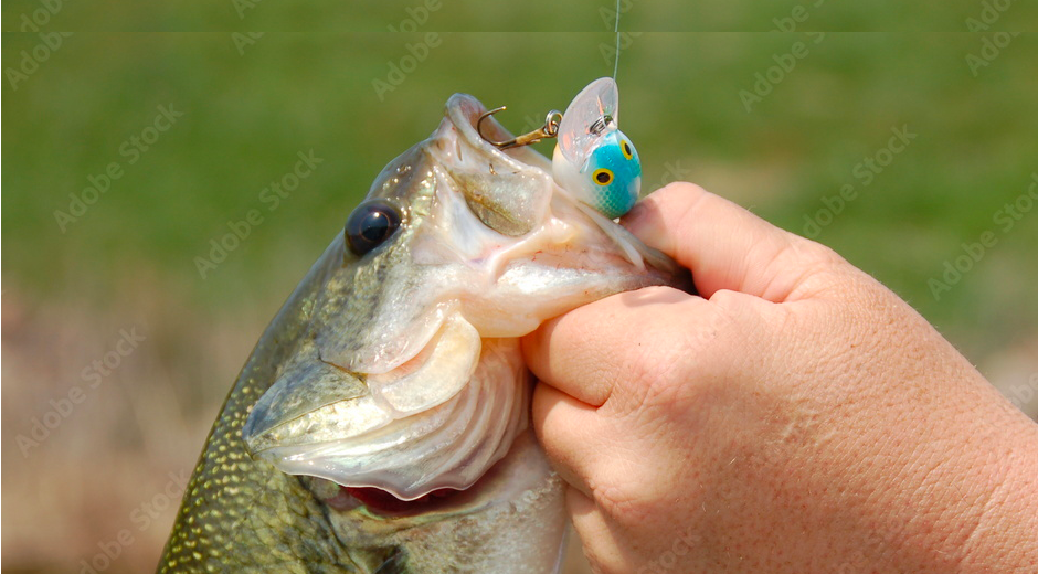 Red Angle Fishing Products - Red Angle