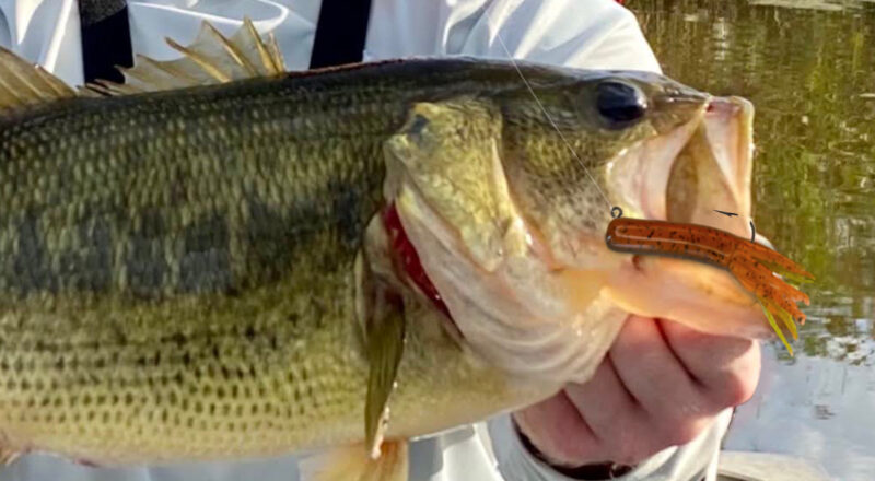 Professional Grade Fishing Products - Lures & Baits You Demand