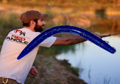 How to Fish a Wacky Rig