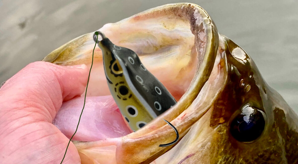 Professional Grade Fishing Products - Lures & Baits You Demand