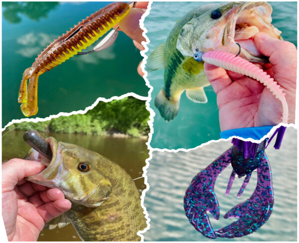 12 Best Bass Fishing Lures and Baits For 2025