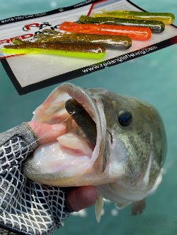 12 Best Bass Fishing Lures and Baits For 2025