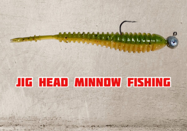 What is a Jig Head Minnow Fishing Rig & How to Fish It